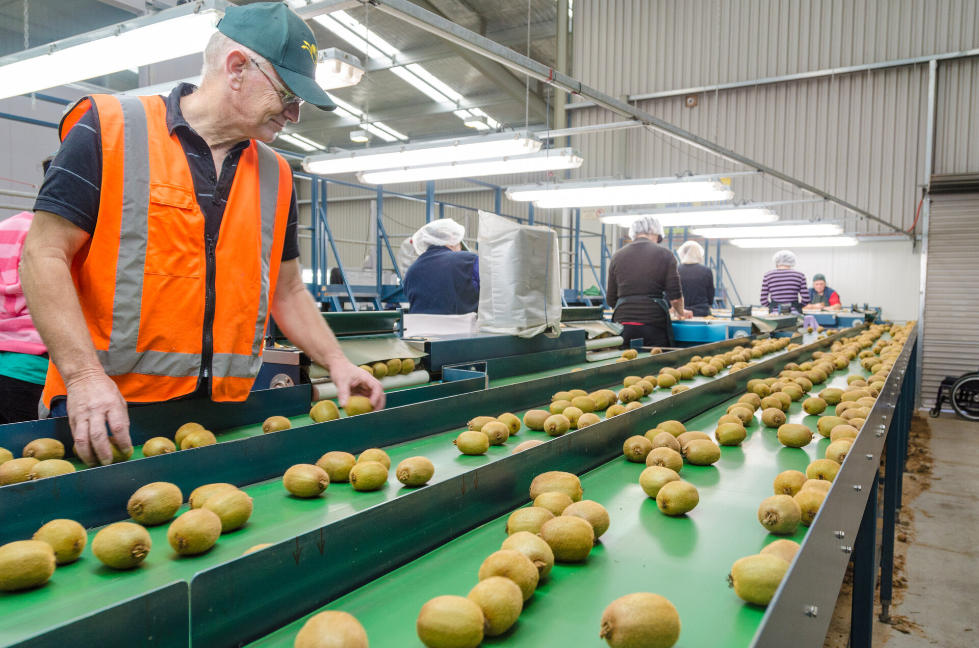 About | Whitehall Fruitpackers Ltd