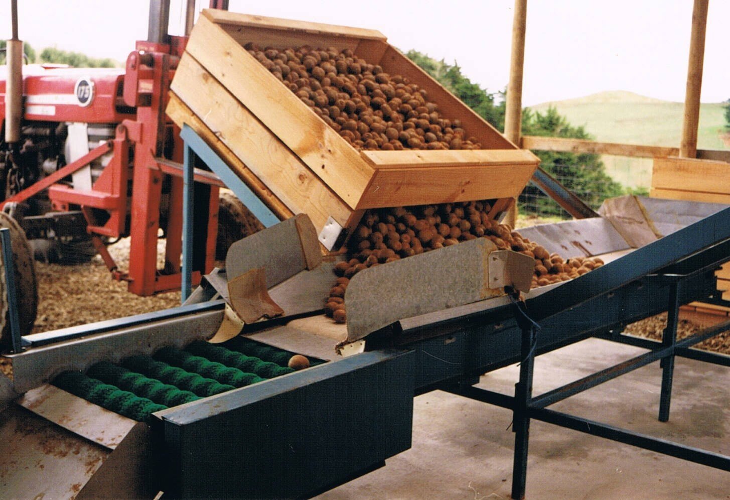 Our Story | Whitehall Fruitpackers Ltd